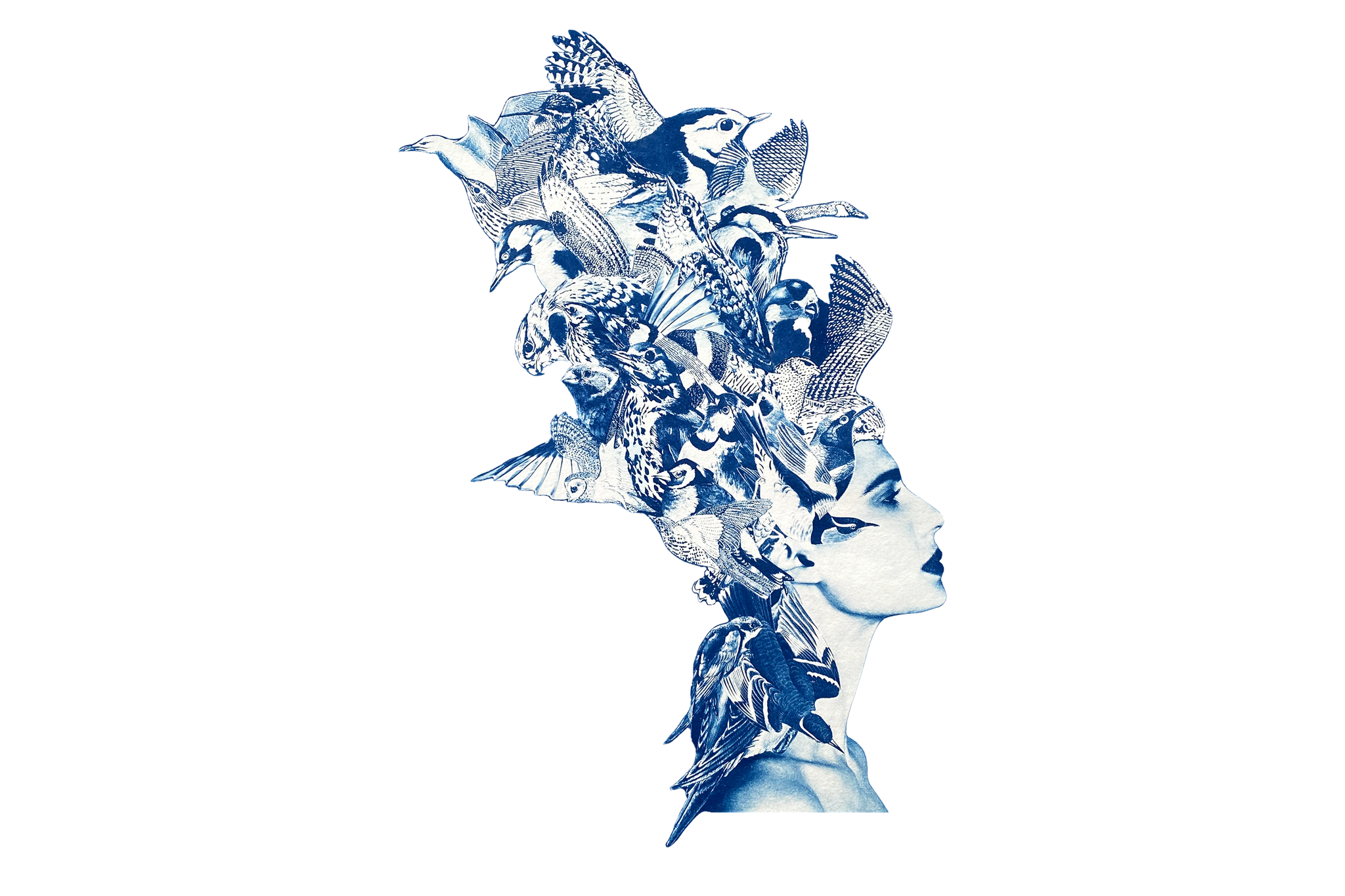 Art Inspired by Amy Johnson | Chloe McCarrick