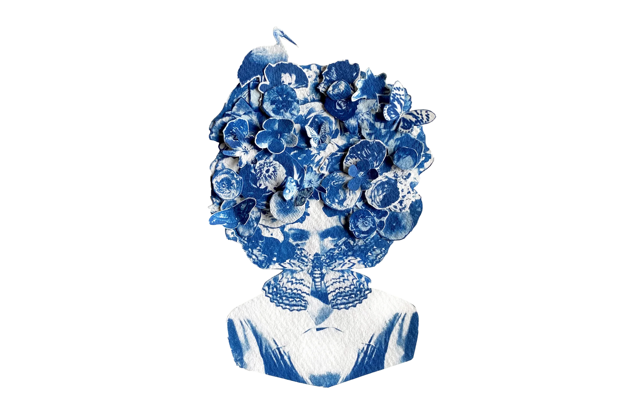 Art Inspired by Scientists | Chloe McCarrick