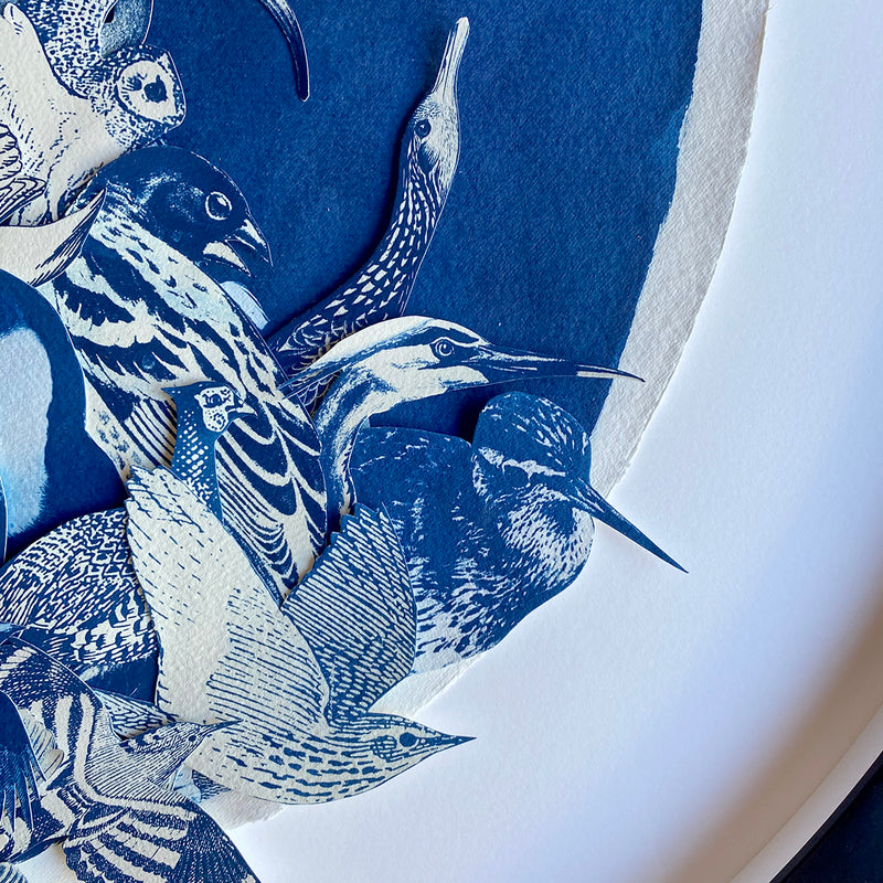 New Cyanotypes | Chloe McCarrick